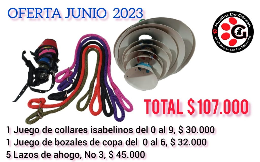 Oferta especial – Talego