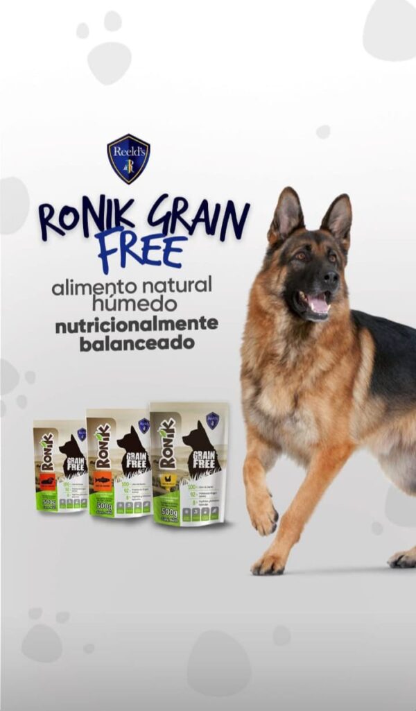 Alimento Natural Húmedo – Talego