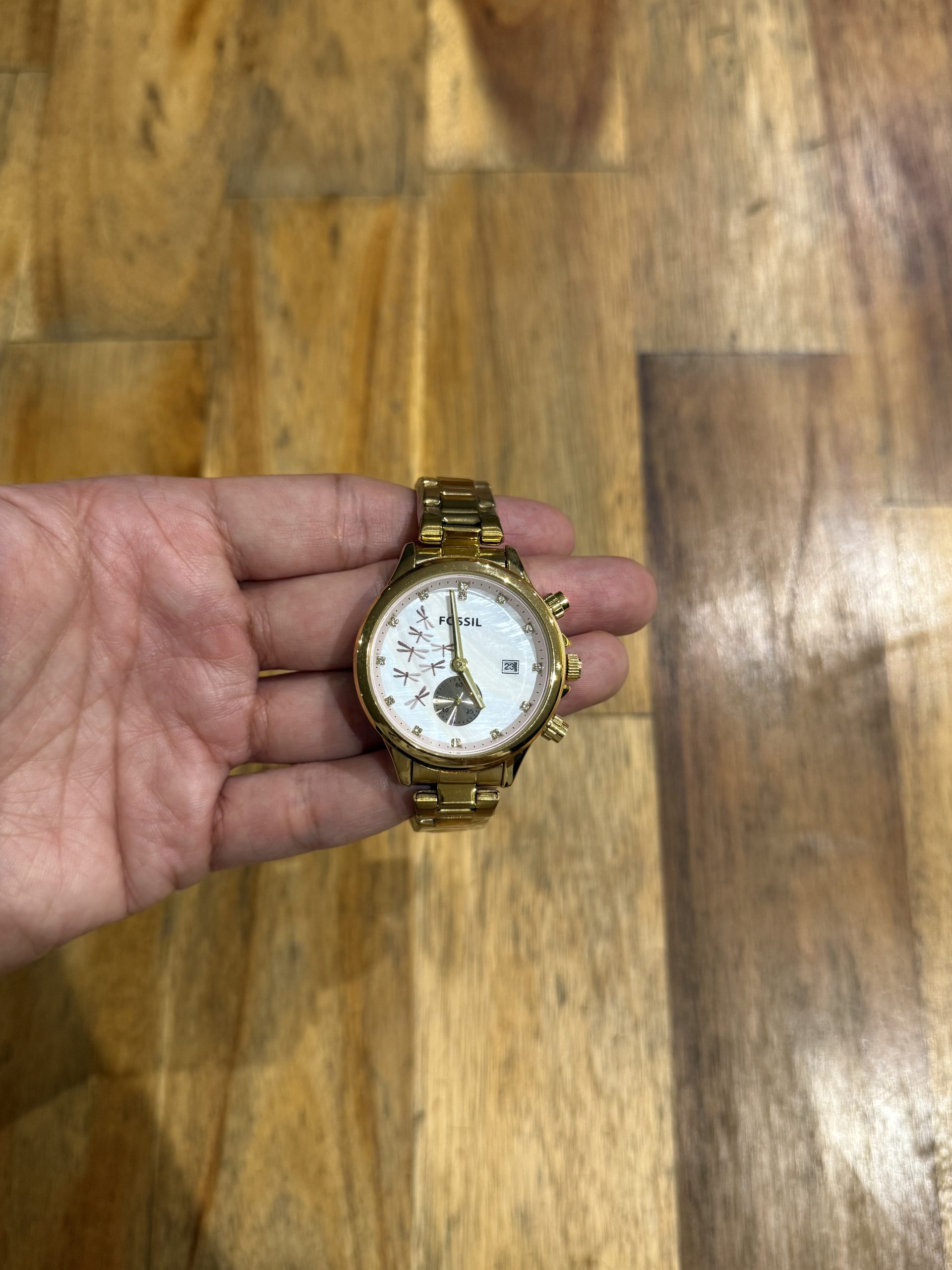 Fossil Scarlette Dragonfly Réplica AA – Talego